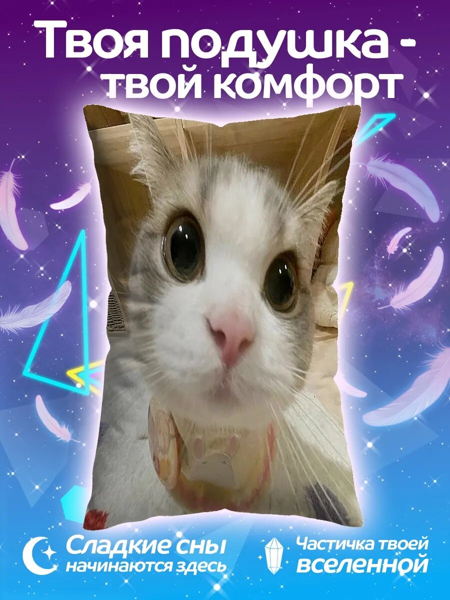 Подушка дакимакура Кот с большими глазами