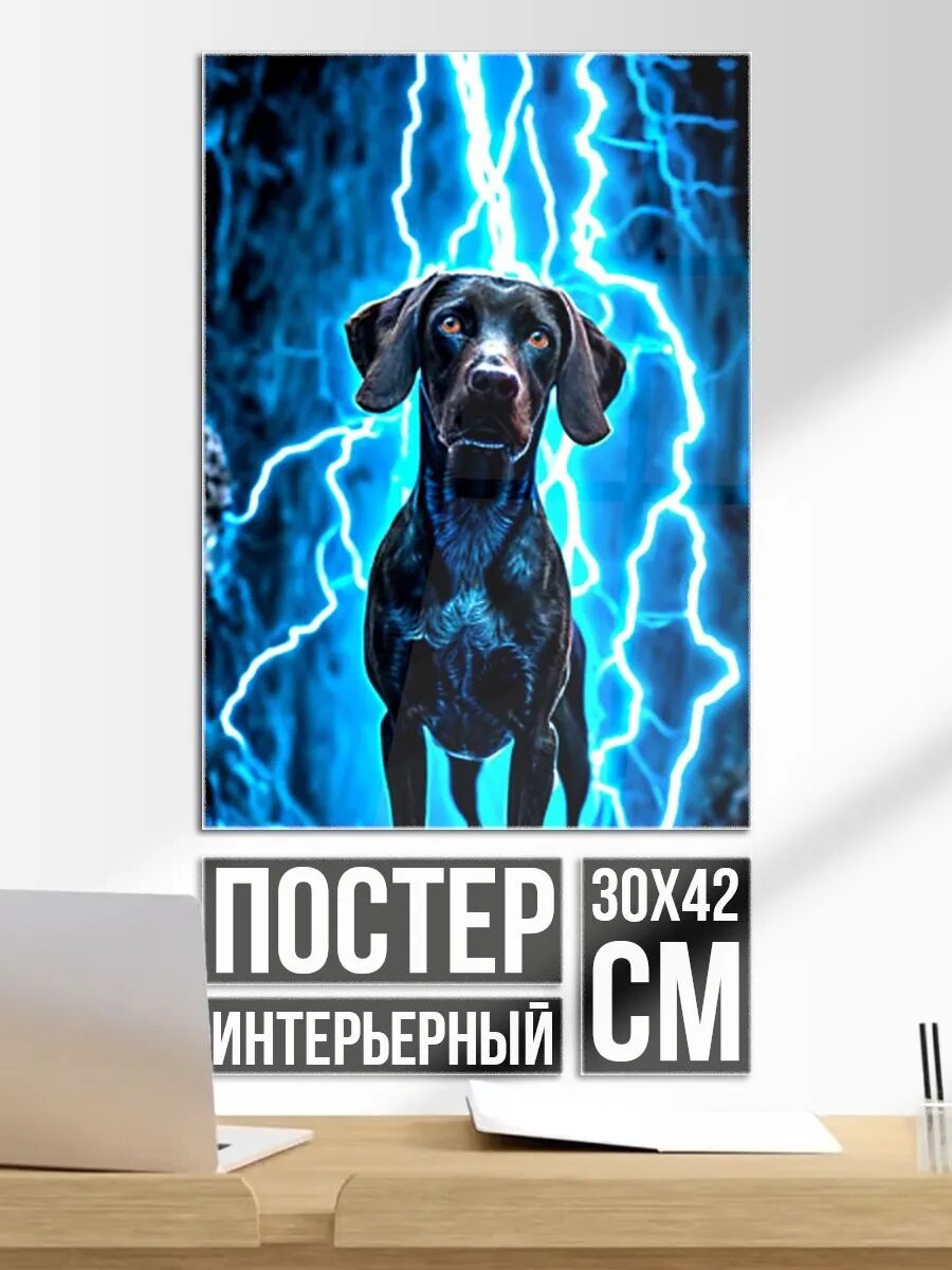 Постер на стену Курцхаар и молния