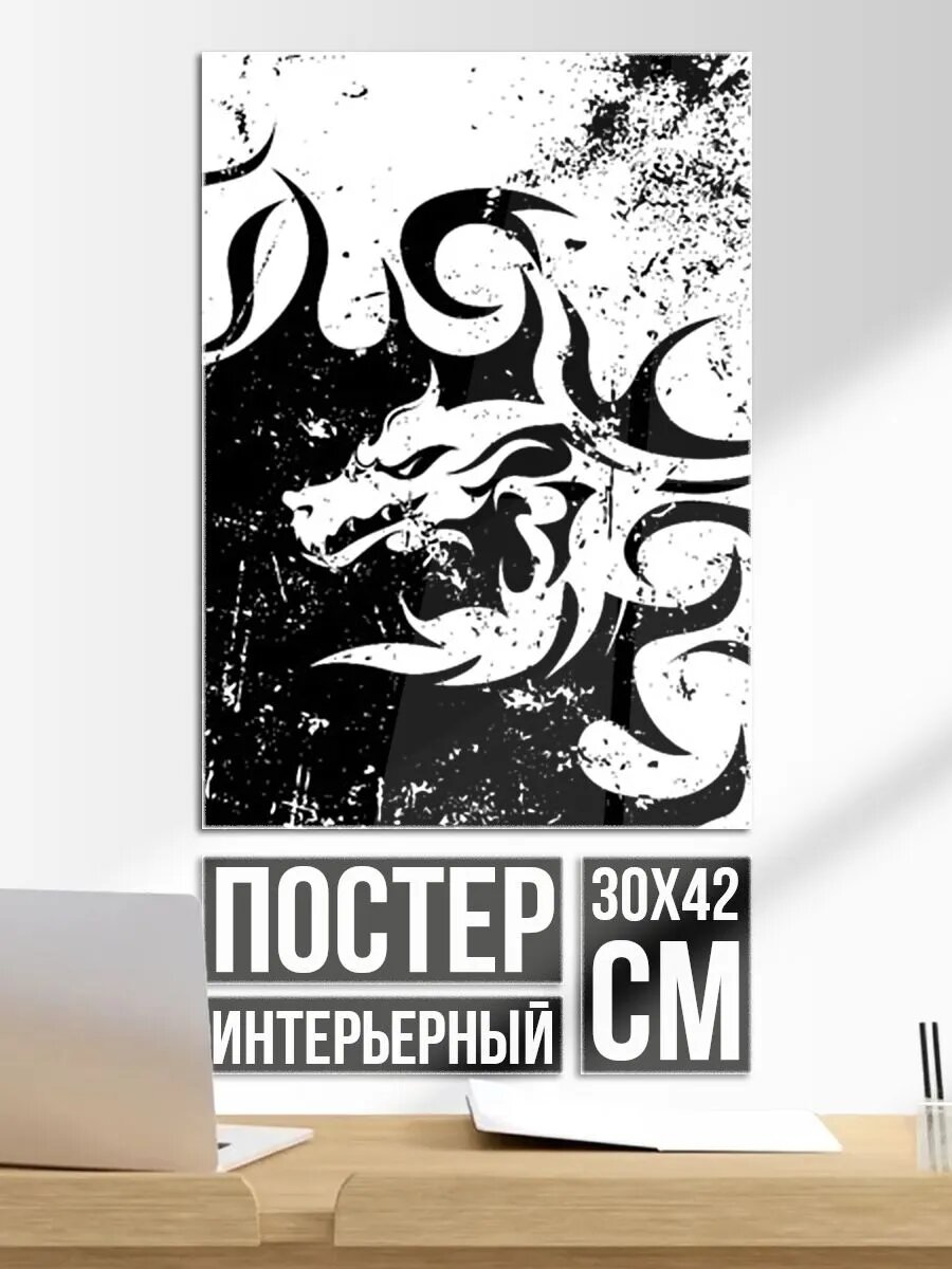 Постер на стену Черно белый дракон 2024