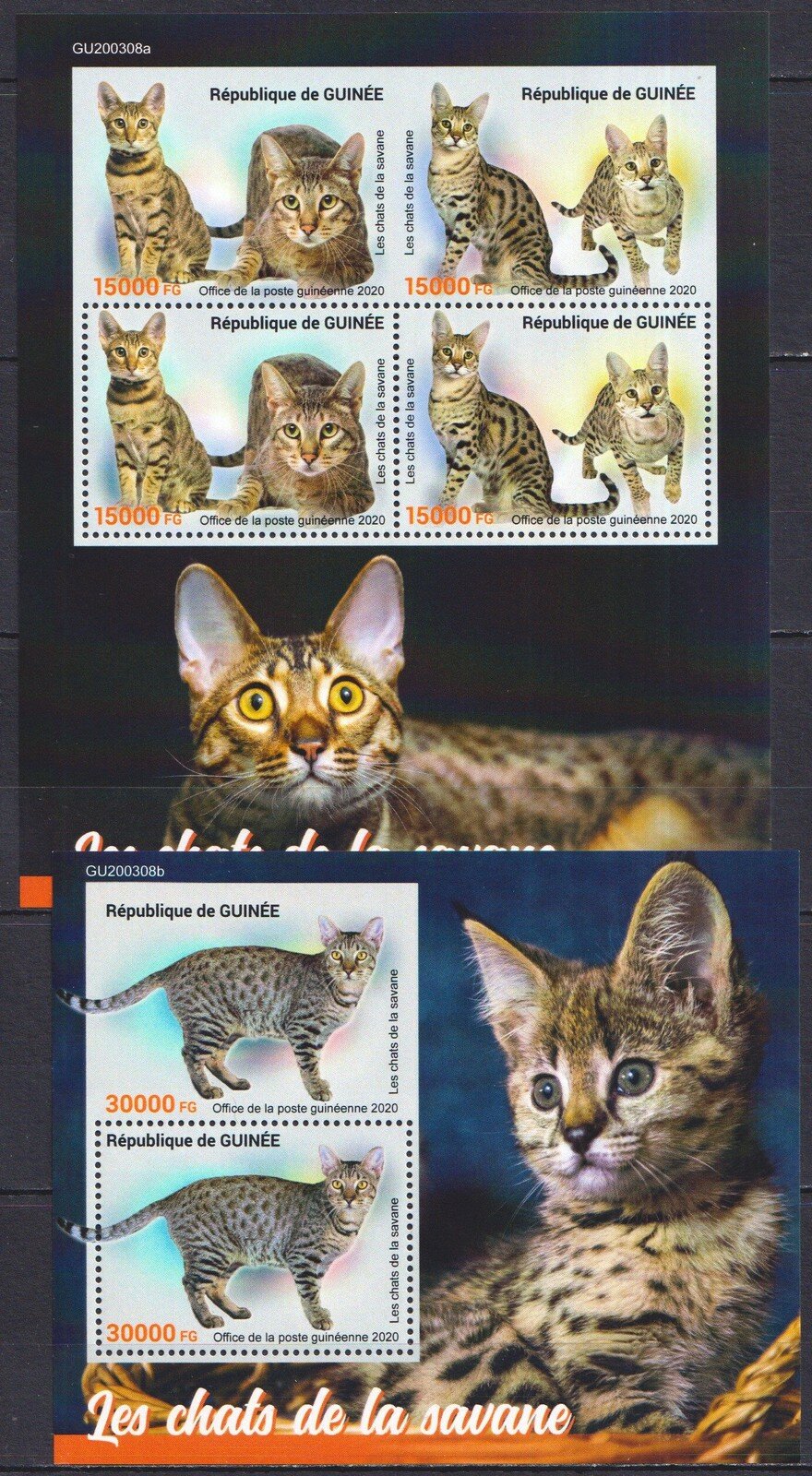 Зуб+б/зуб Марки 2020 год Гвинея Кошки саванны Фауна #(14851-14853)A+B ! KB+BL MNH