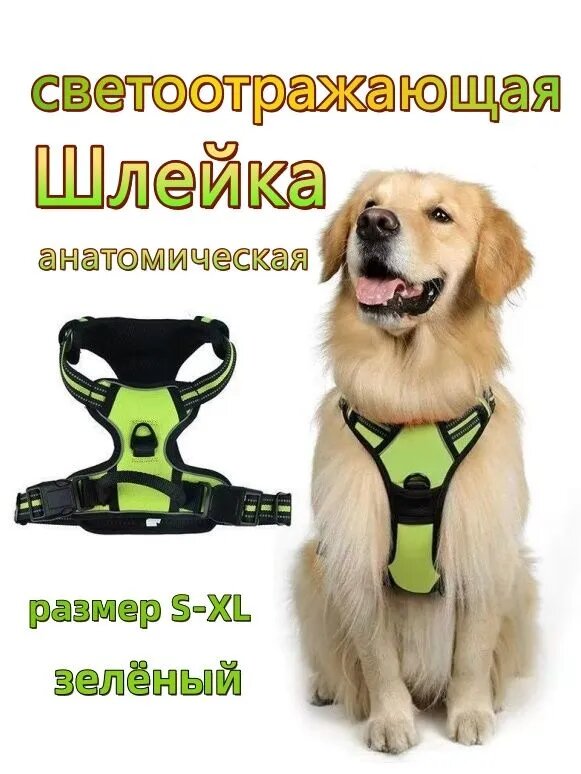 Нагрудная шлейка светоотражающая для собак мелких и средних пород, анатомическая зелёный/размер M
