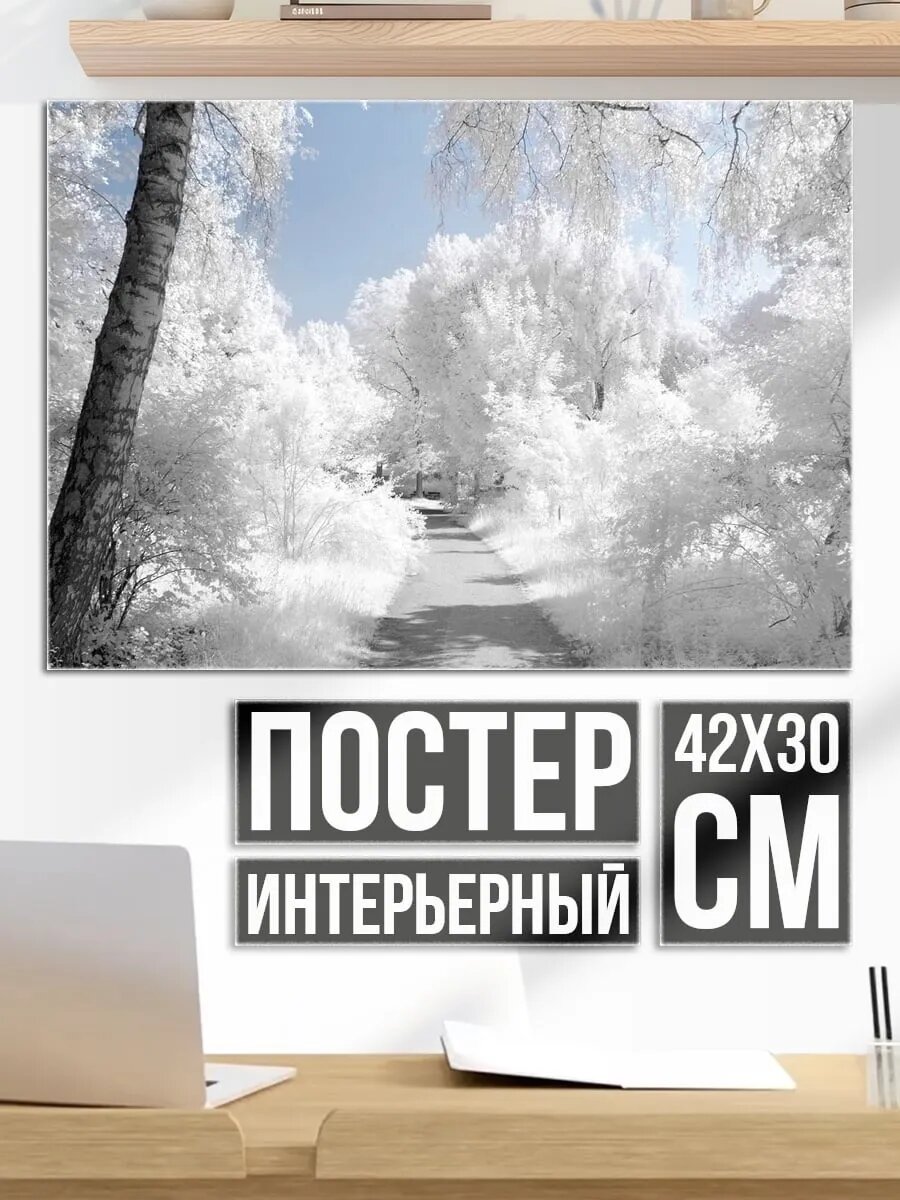 Плакат постер Зимний лес в инее
