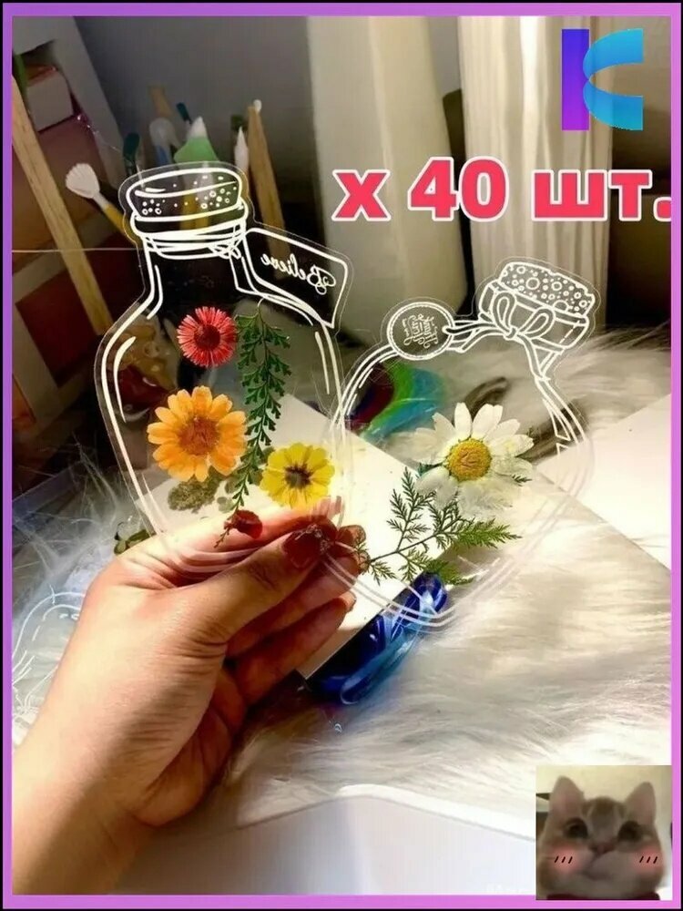 Альбом Гербарий