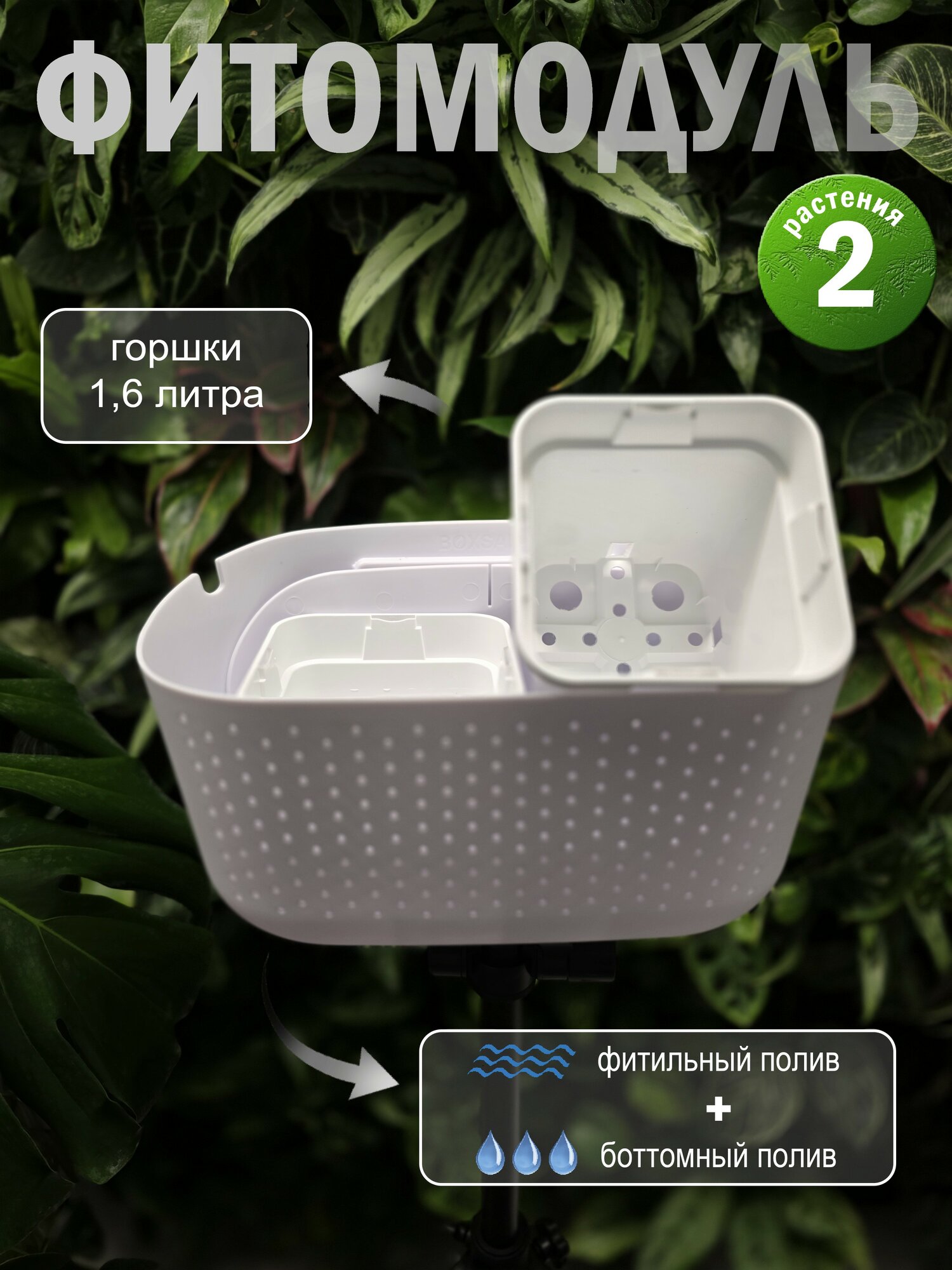 Фитомодуль BOXSAND-2 (34х18 см) с горшками 1,6 литра