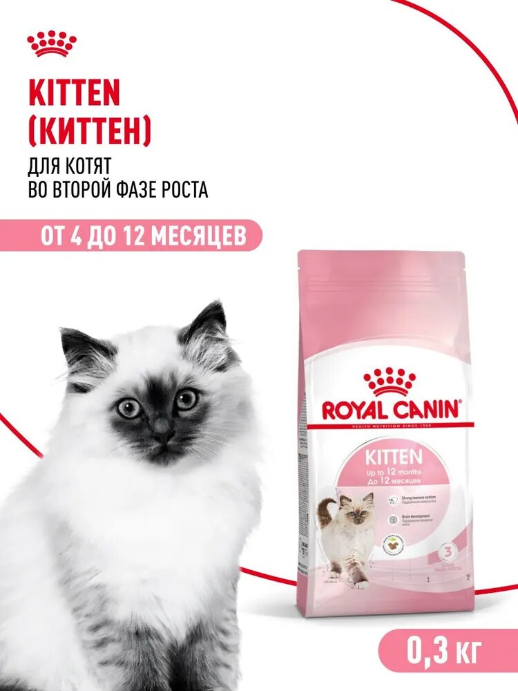 Сухой корм для котят Royal Canin Kitten, 300 г