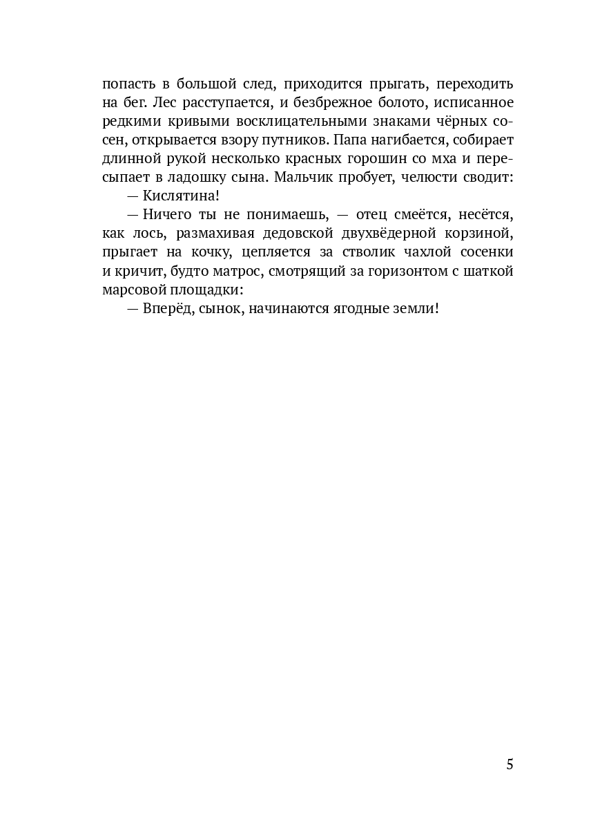 Ягодные земли — фото 1