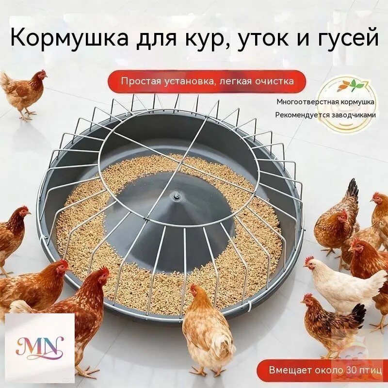 Бассейн для кормления птицы. 30 лунок