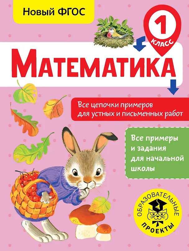 Математика. 1 класс. Все цепочки примеров для устных и письменных работ. Новый ФГОС