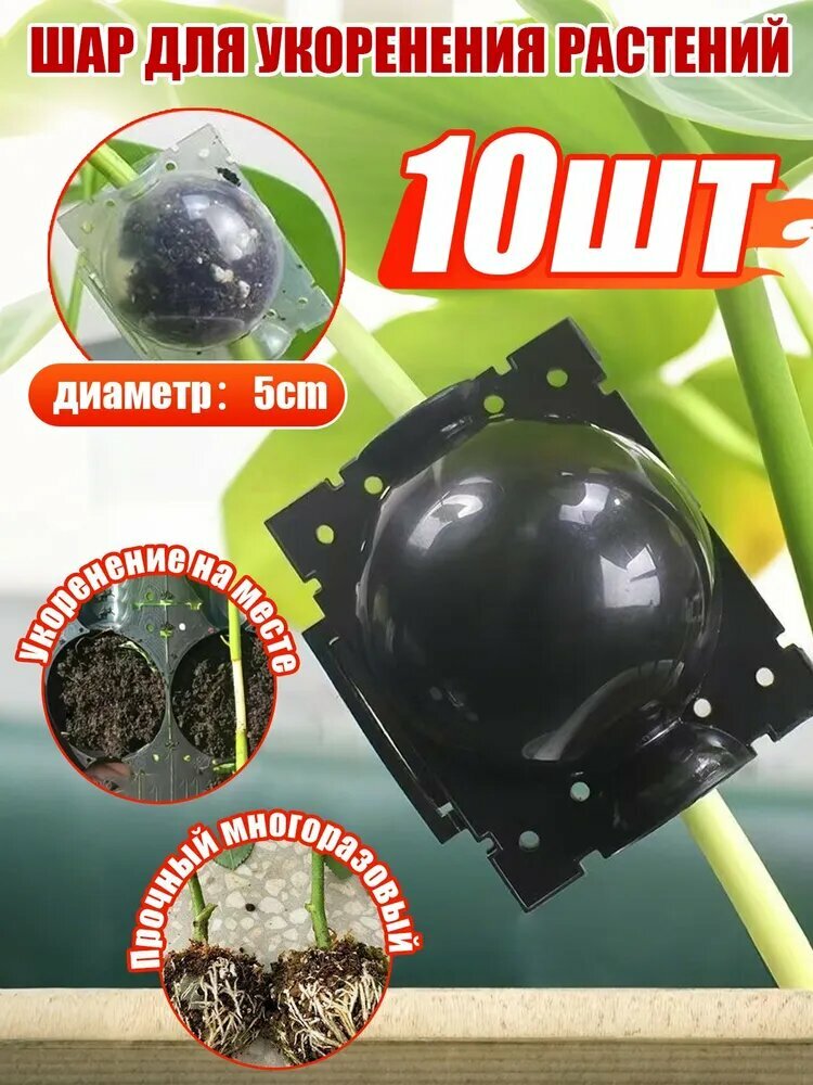 Шар для укоренения растений, для прививки растений, черный 10 шт/садовый инструмент