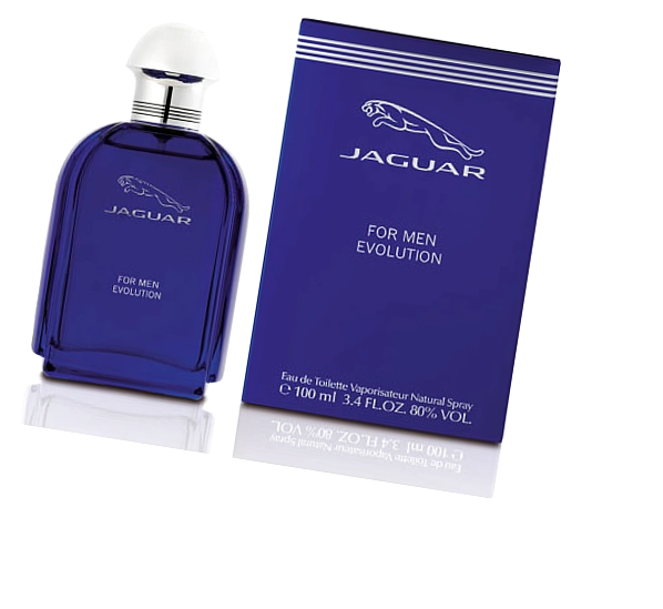 Мужская туалетная вода Jaguar For Men Evolution 100 мл - Ягуар Фор Мен Эволюшн аромат
