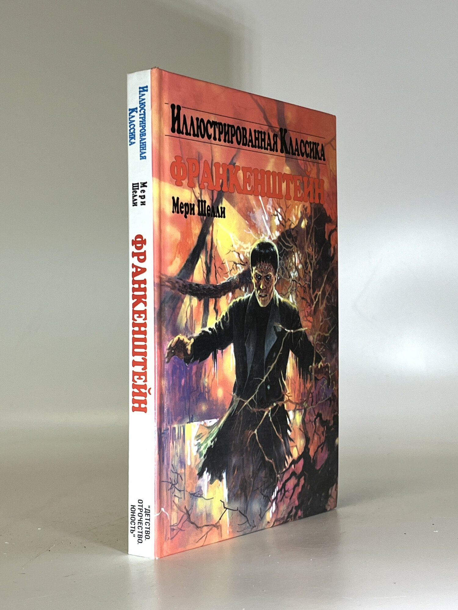 Франкенштейн. Мери Шелли. Букинистическая книга в отличном состоянии.