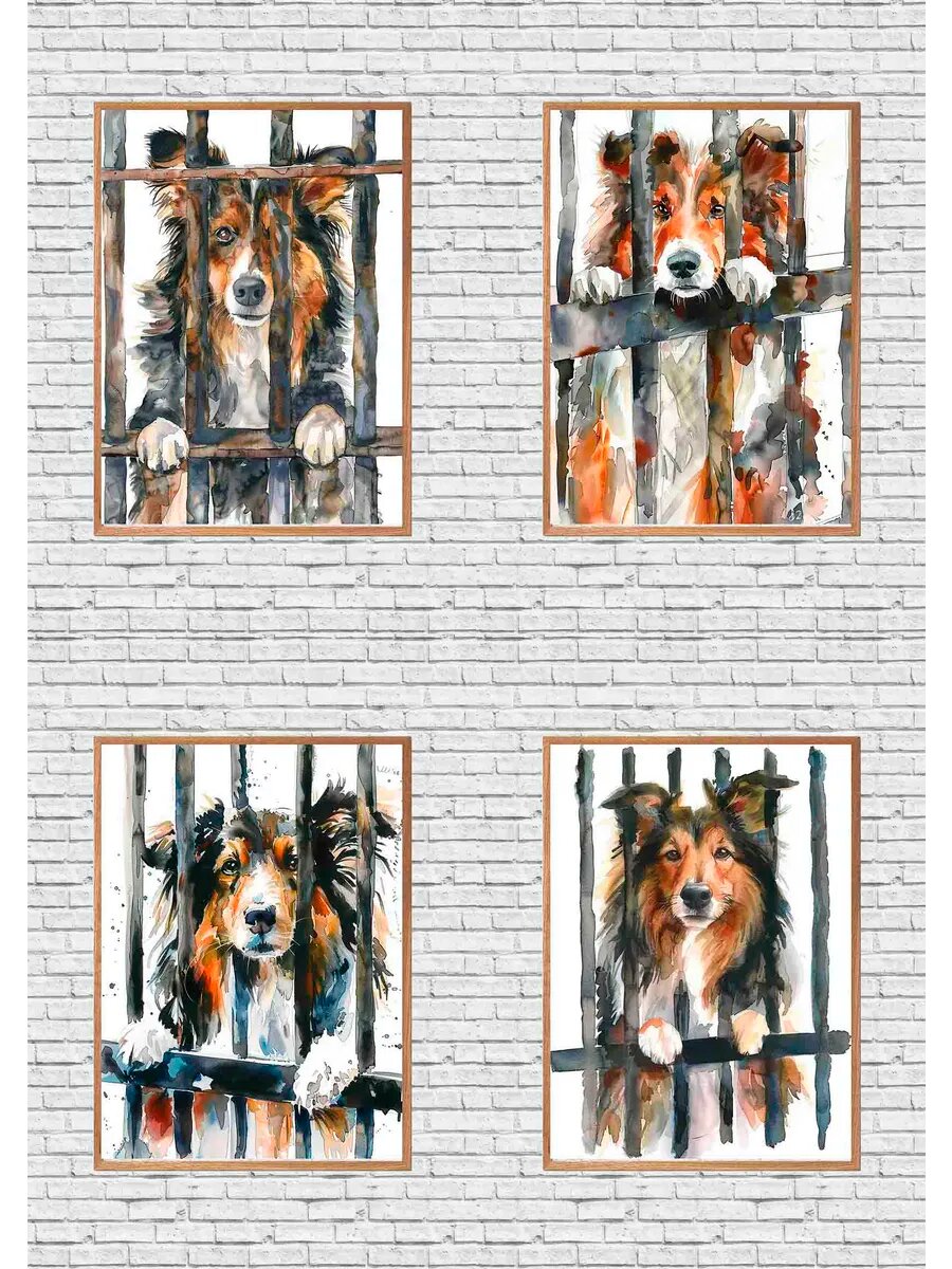 Шетландская овчарка-собака-преступник в тюрьме, 4 Плаката,