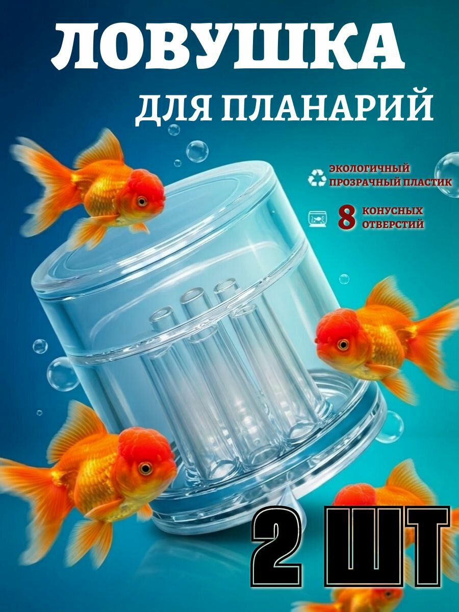Ловушка для планарий