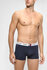 Трусы TOMMY HILFIGER, размер S, синий