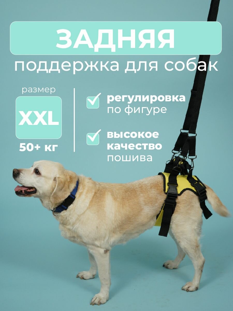Ходунки для собак, задняя поддержка тазовых конечностей (задних лап) травмированных и пожилых, размер 5