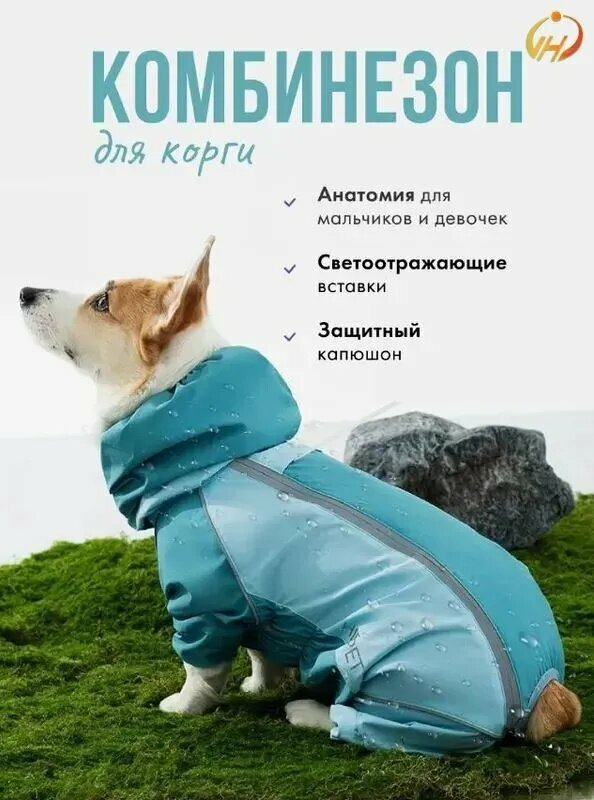 Влагоотталкивающий комбинезон-дождевик для корги, дождевик для собак мелких пород, XXL