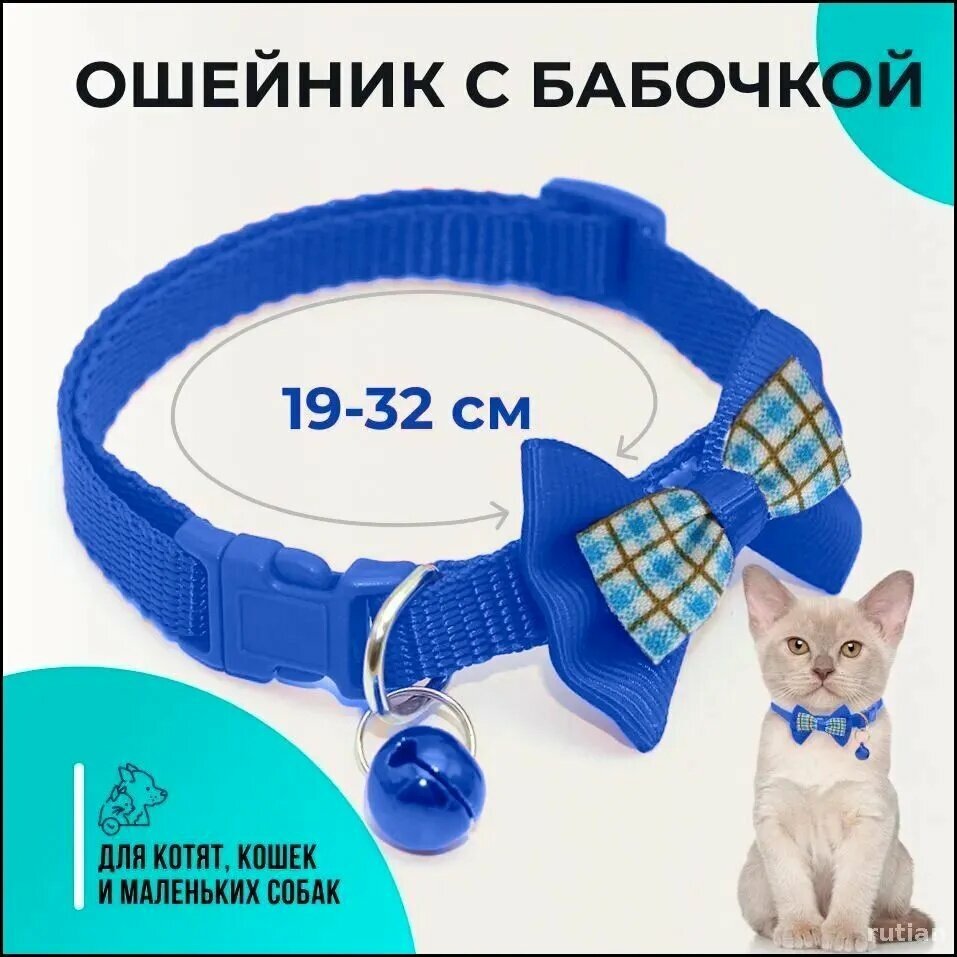 Ошейник