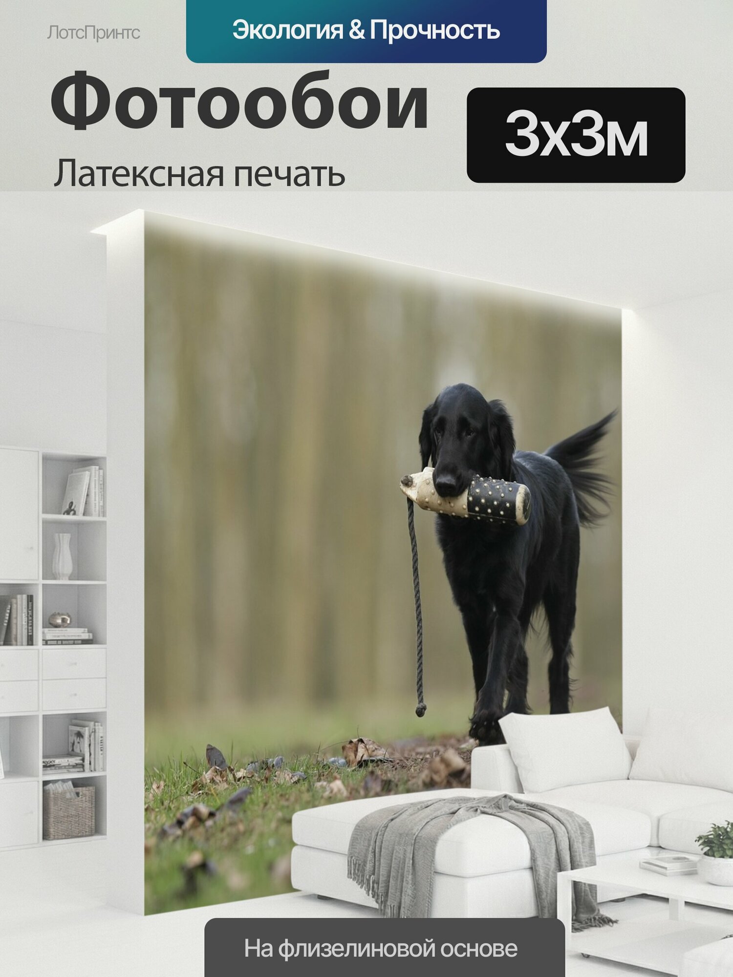 Фотообои моющиеся ударопрочные "Собака, прямошерстная ретривер, охота" 300x300 см. латексная печать