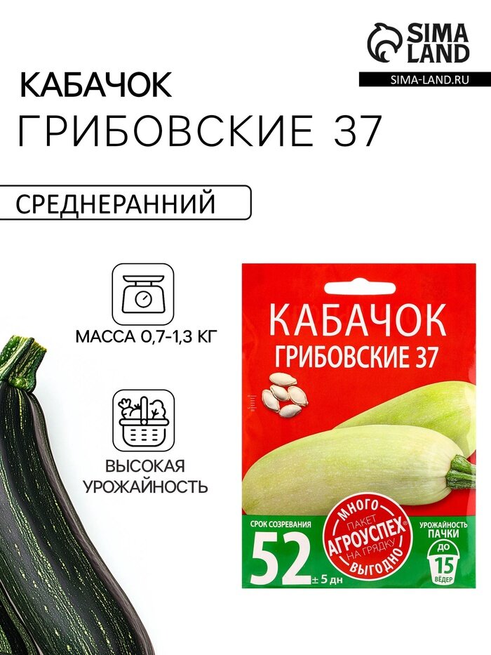 Семена Кабачок «Грибовский 37», 10 г, «Агроуспех»