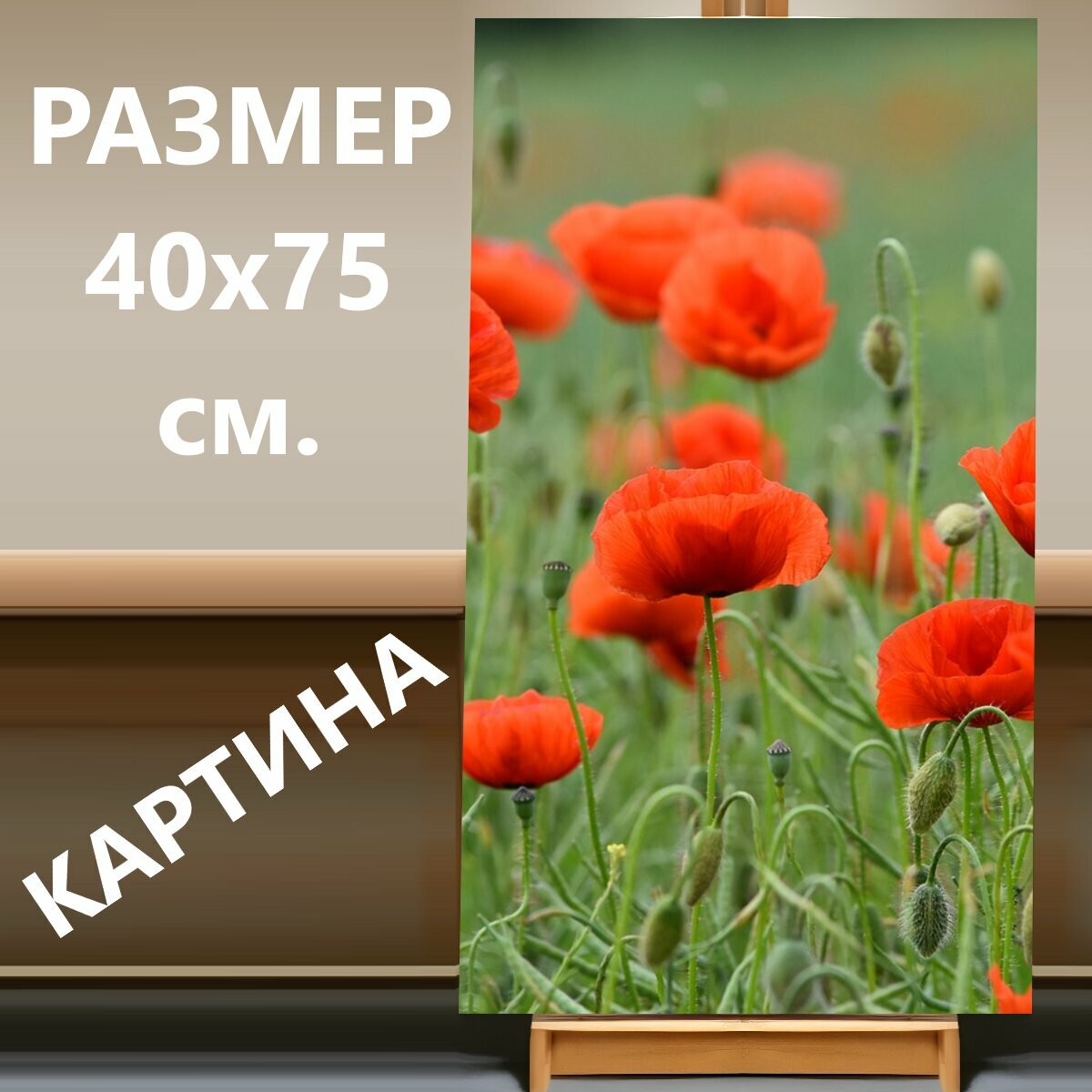 Картина на холсте "Маки, красные маки, поле маков" на подрамнике 75х40 см. для интерьера