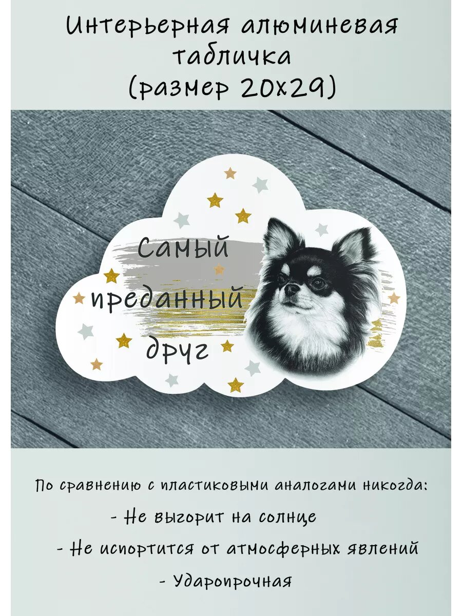 Табличка Чихуахуа (черный длинношерстный)