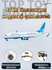 Сборная модель самолета Победа 737, масштаб 1:100, длина 47 см, коллекция авиамо...