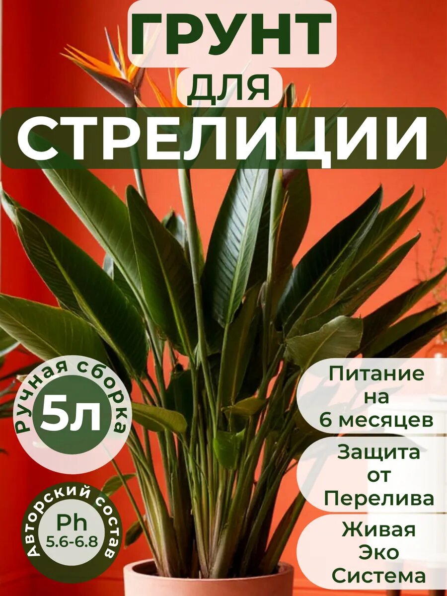 Готовый авторский грунт для Стрелиции, премиум 5 литров