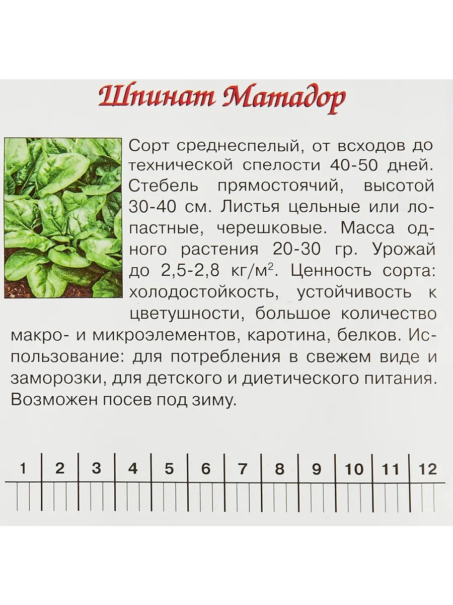 Семена шпинат Матадор — фото 1