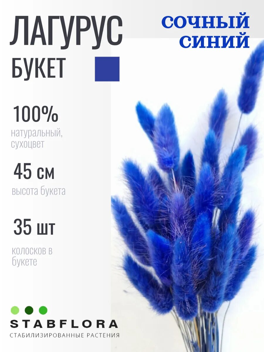 Букет сухоцветов StabFlora "Лагурус", 35 шт, натуральный декор, синий