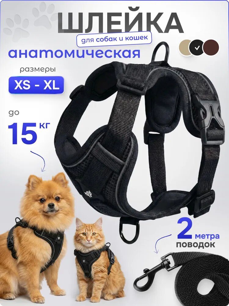 Шлейка для собак мелких средних пород и кошек с поводком