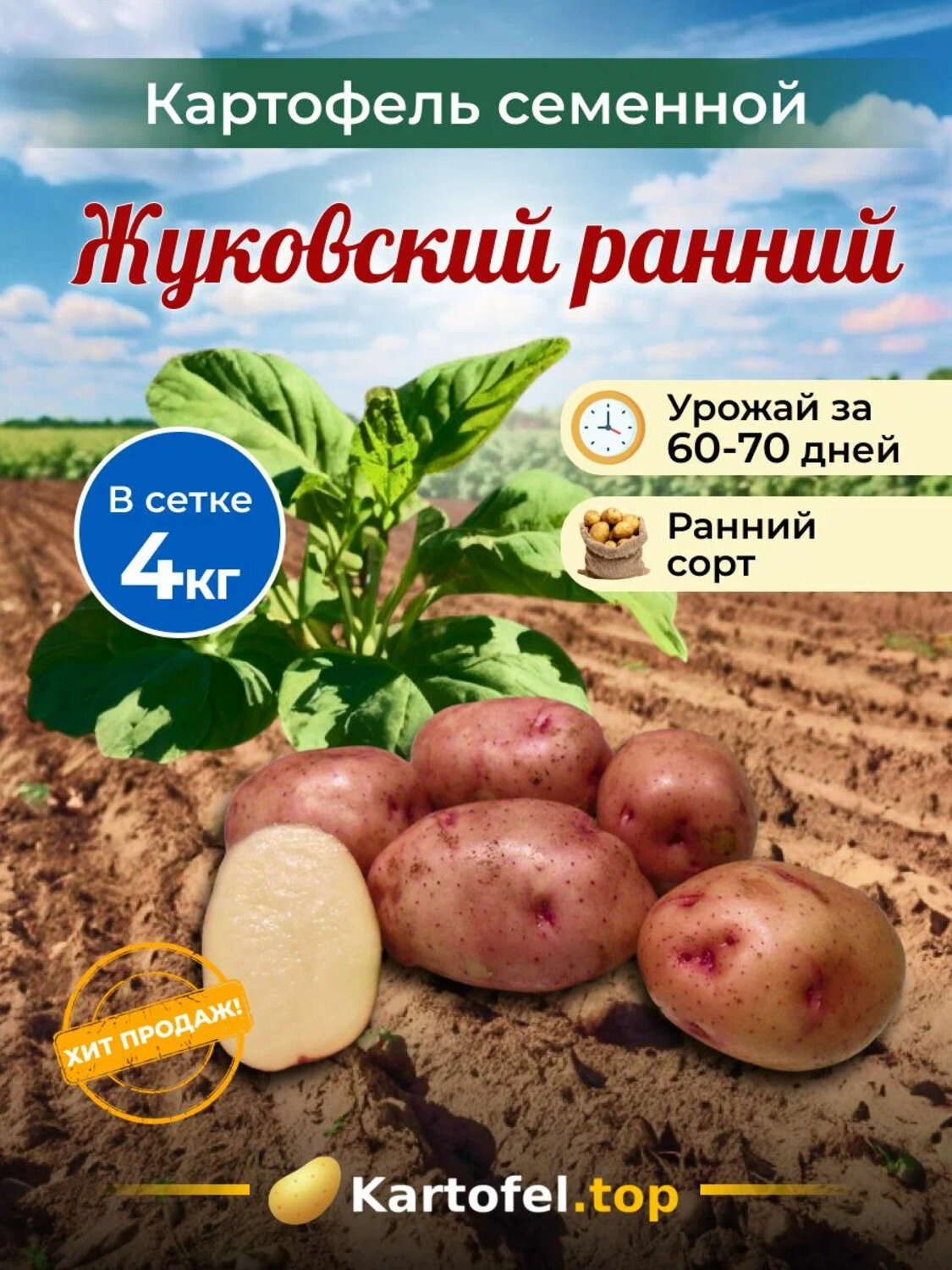 Картофель семенной клубни на посадку, саженцы "Грацио" элита (4 кг)