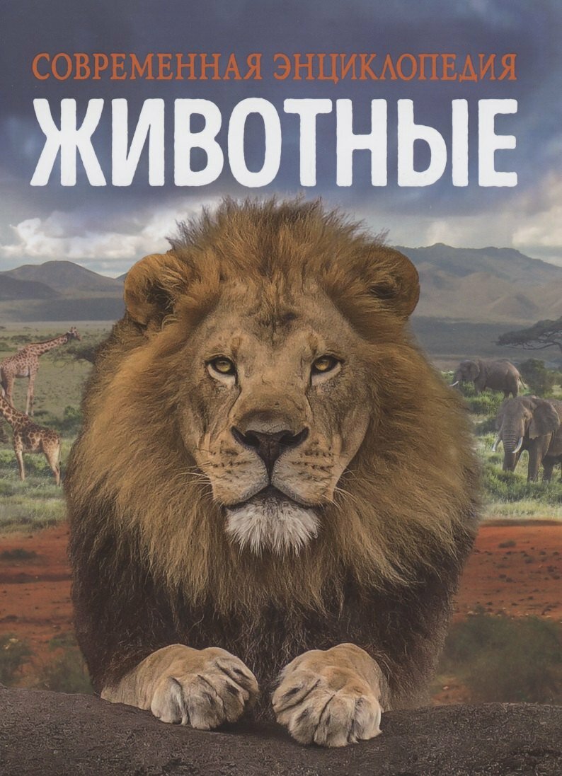 Книга: "Животные. Современная энциклопедия" от Мартин К, русский язык, Универсальные энциклопедии