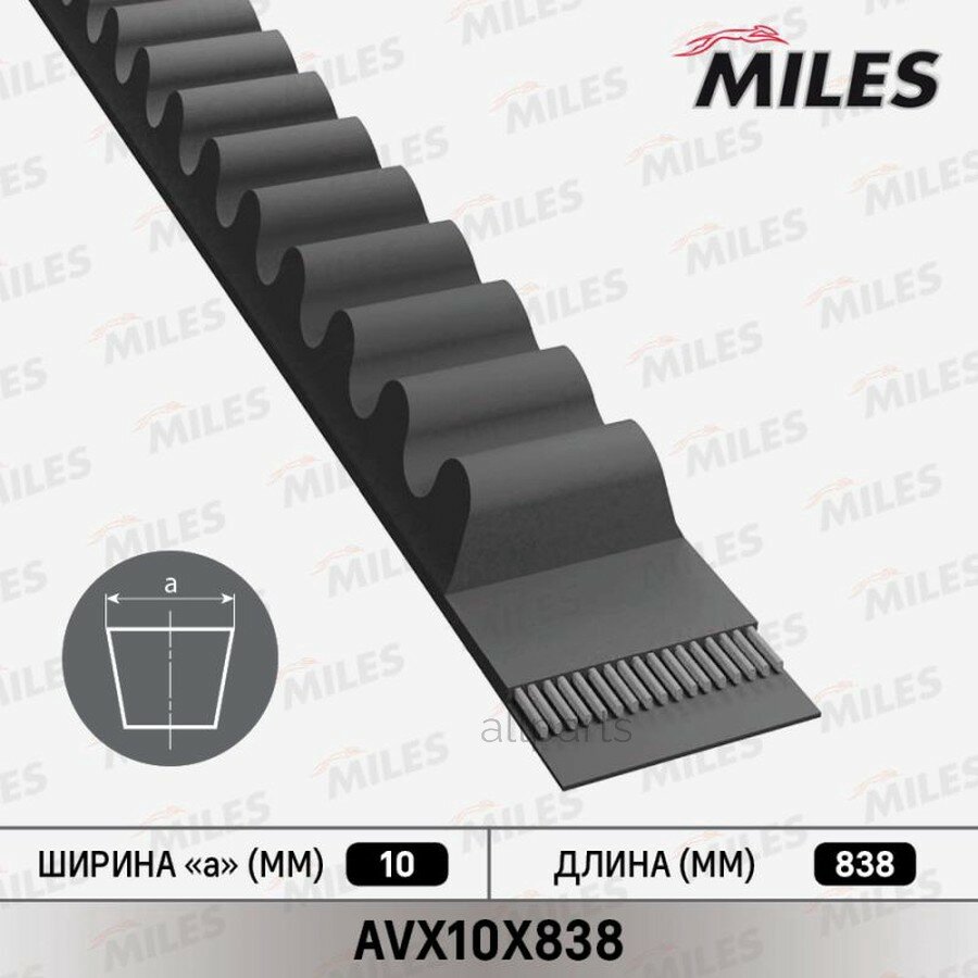 MILES AVX10X838 Ремень приводной клиновой
