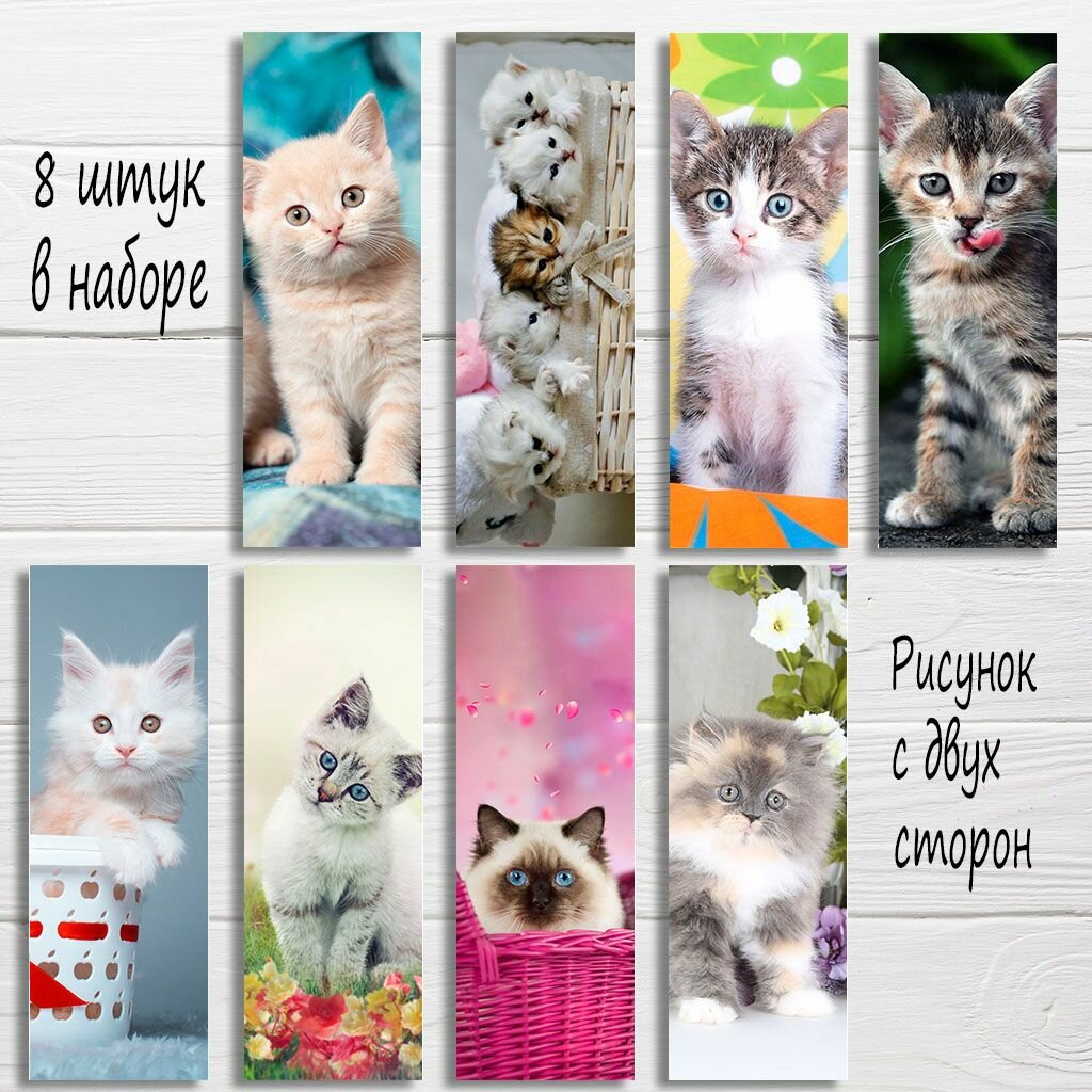 Закладка для книг котики, котята, набор из 8 штук
