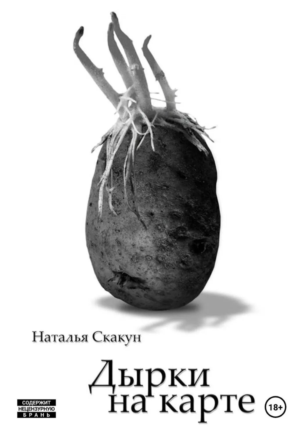 Дырки на карте [Цифровая книга]