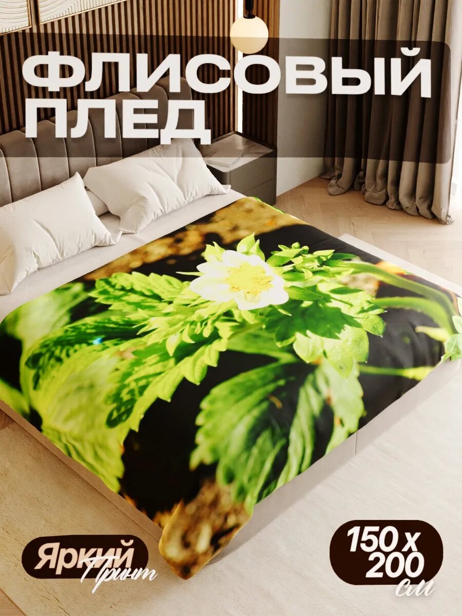 Плед флисовый 150х200 см мягкий теплый покрывало для дома