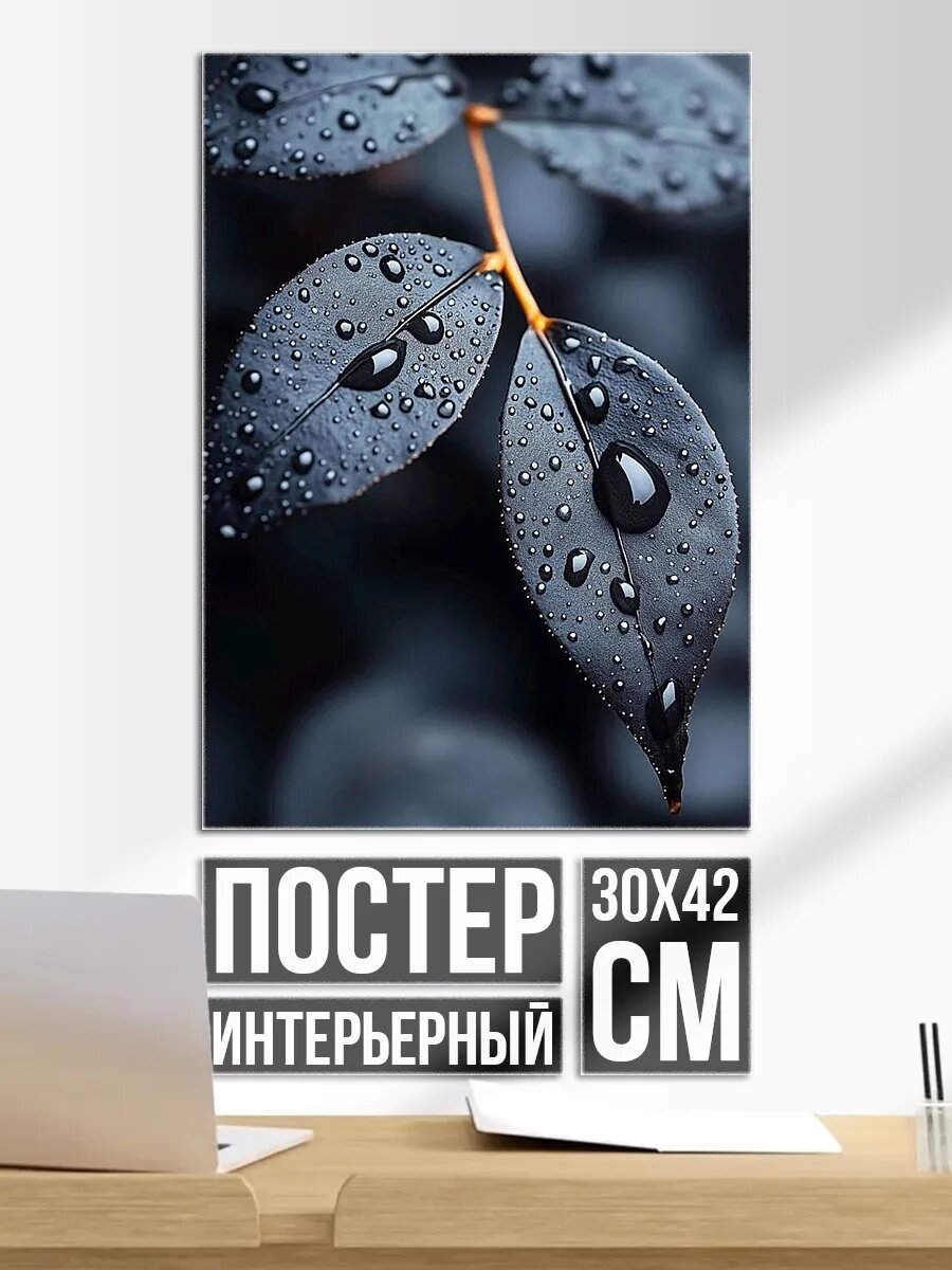 Плакат постер Капли на листьях