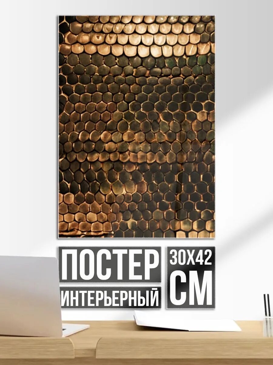 Постер на стену Кольчуга из кожи золотого дракона
