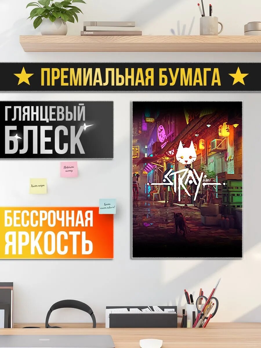 Постер на стену Stray Poster — фото 1