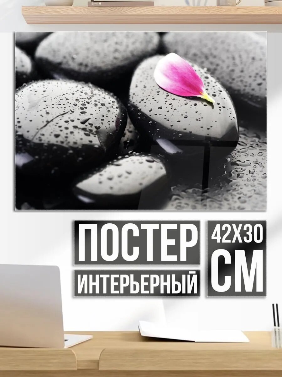 Плакат постер Камни и лепесток