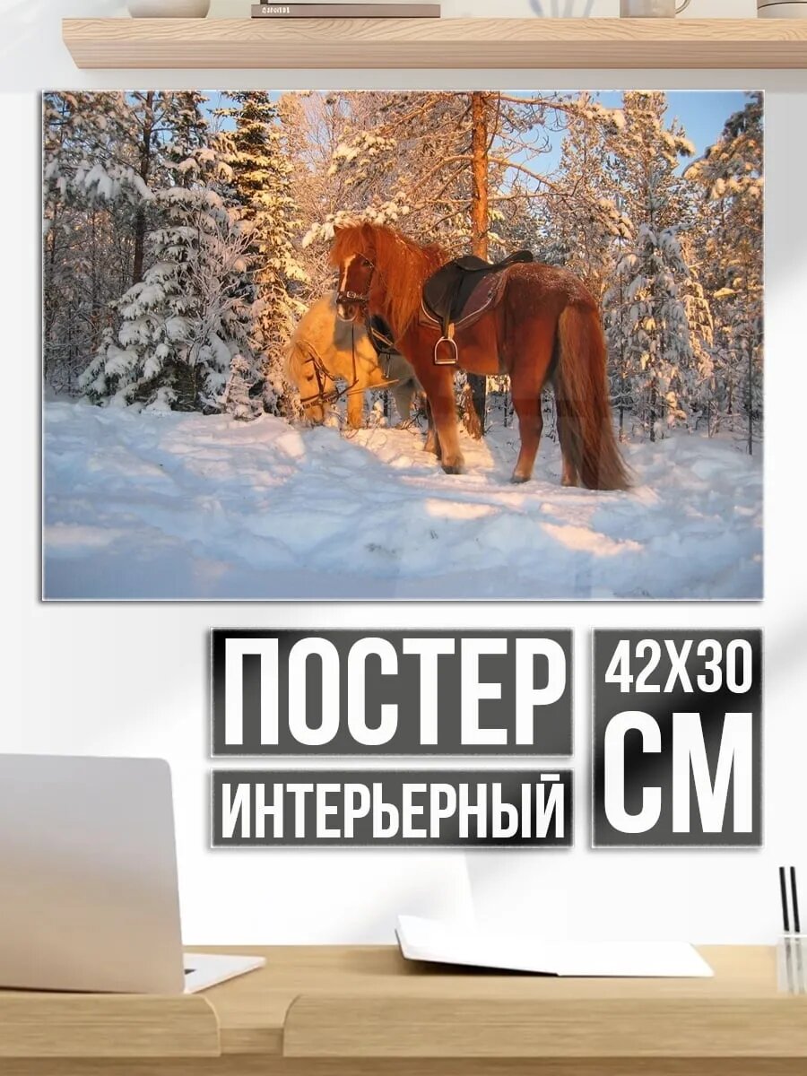Плакат постер Рыжий конь в снегу