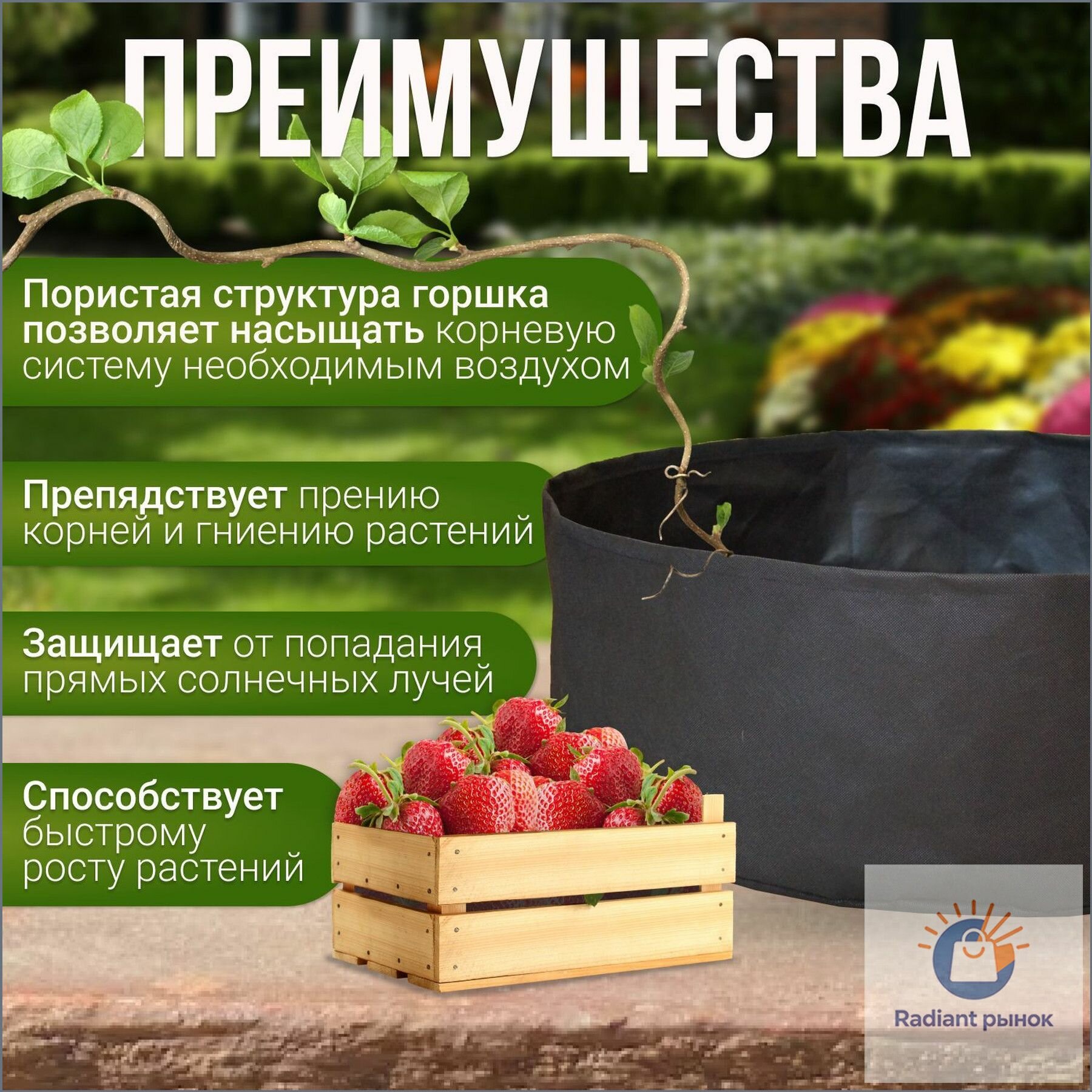 Грядка — фото 1