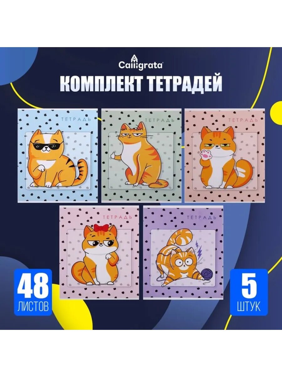 Тетрадь в клетку 48 листов с обложкой "Коты"