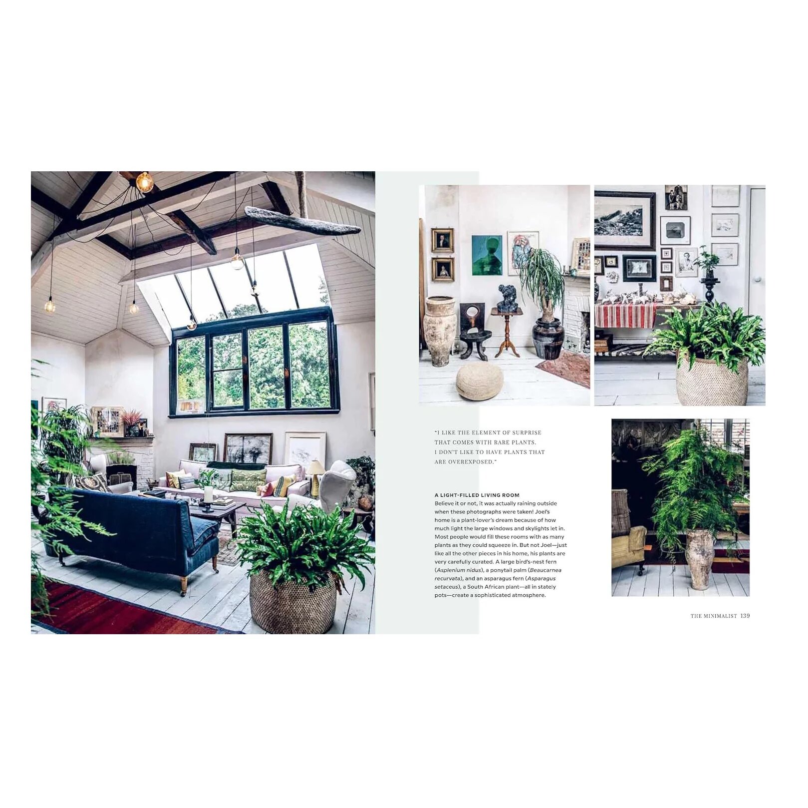 Wild Interiors: Beautiful plants in beautiful spaces