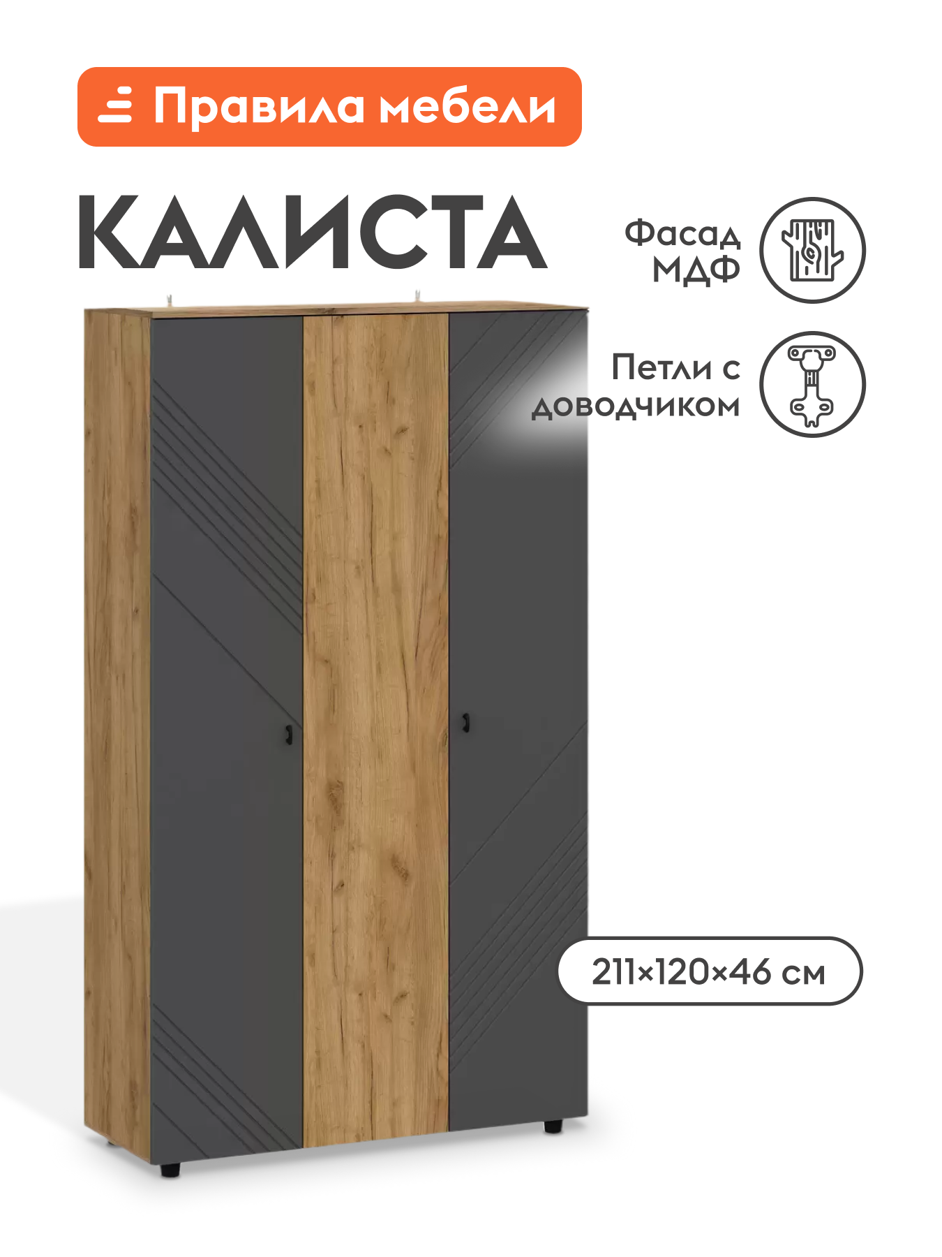 Распашной шкаф для одежды и хранения вещей Калиста Стандарт с полками, со штангой, 120х46.4х210.6 см, Дуб золотой / Графит