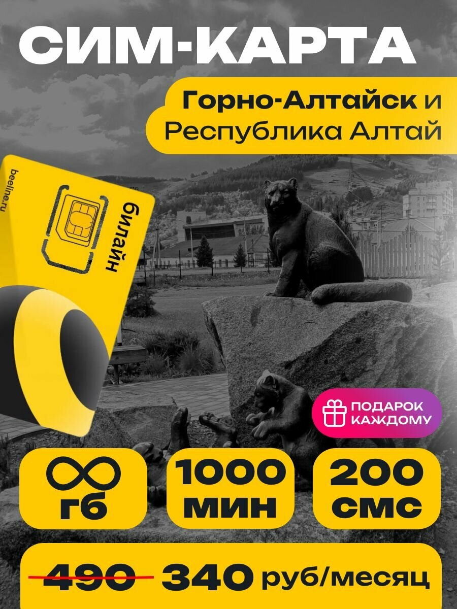 Сим-карта Билайн тариф Эксклюзивный Онлайн Республика Алтай Безлимитный интернет и 1000 минут за 340 руб.