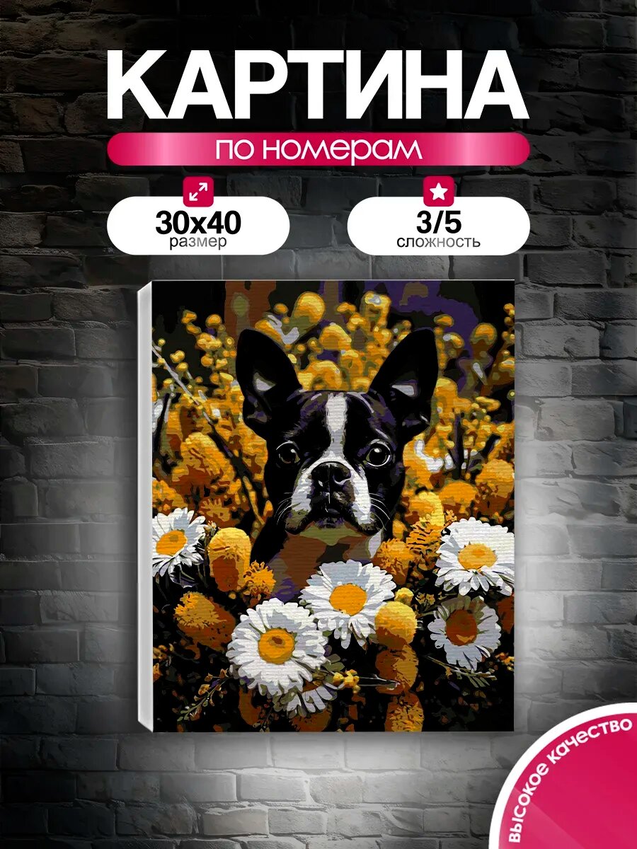Картина по номерам 30x40 Пес в саду