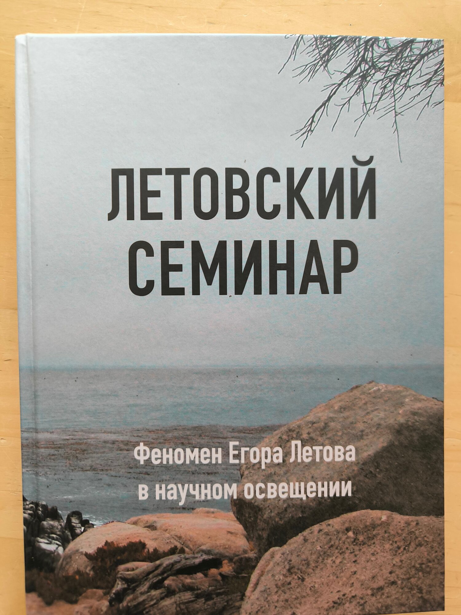 Летовский семинар. Феномен Егора Летова в научном освещении