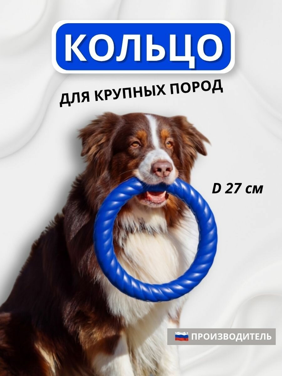 Игрушка для собак крупных пород сибирский ПЁС кольцо синее 270мм