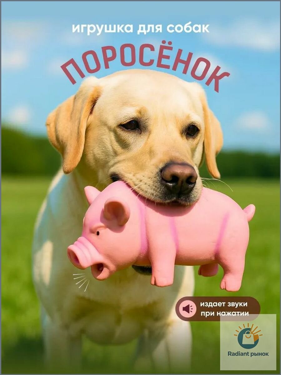 Пищалка игрушка для собак резиновая свинья хрюкающая